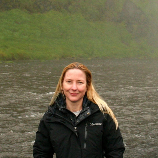 Iceland Volcanoes Supersite – GSNL